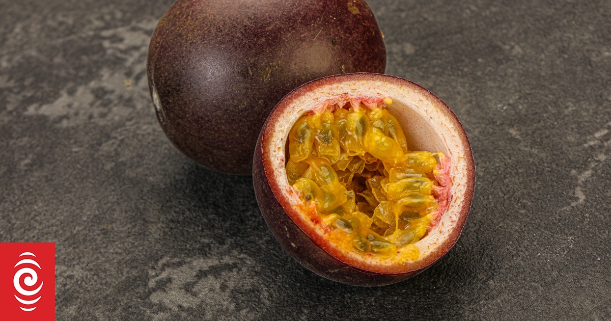 The Panel with Janet Wilson and David Slack (Part 2) | RNZ