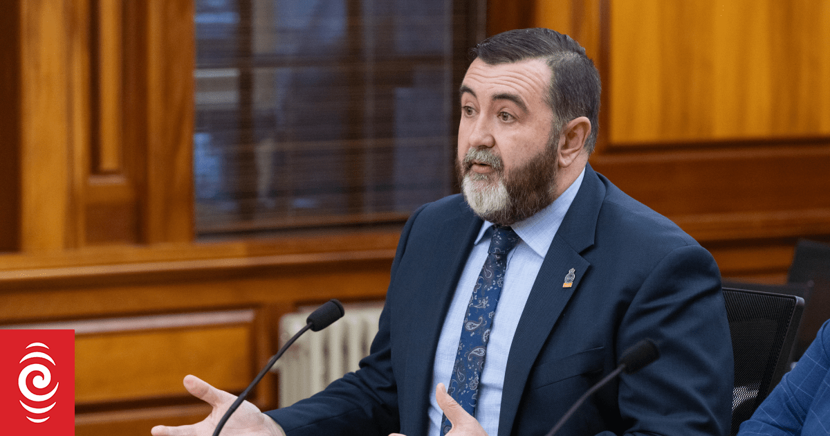 The Parliamentary Processes Behind The Missing Submissions Story Rnz News