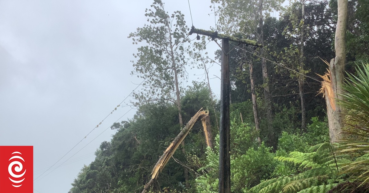 Cyclone Gabrielle: power cuts, downed trees, surface flooding | RNZ