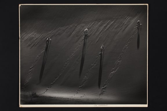 Pioneering Kiwi nature photographer Olaf Petersen | RNZ