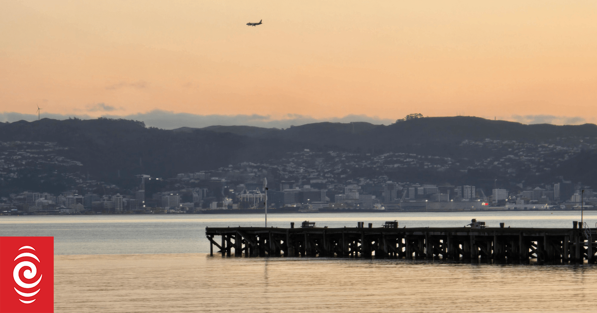 The Panel with Anna Dean and David Farrar (Part 1) | RNZ