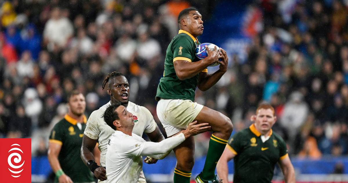 Springboks under investigation as confident All Blacks loom | RNZ