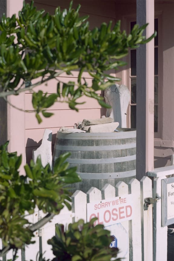 Artist Emily Parr is inspired by the sea | RNZ