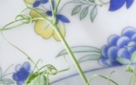 Fruit and Vege Report with Glenn Forsyth | RNZ