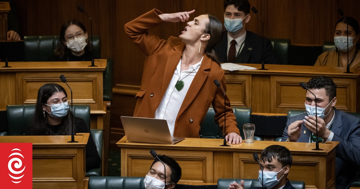 Youth MPs in their own words: A photo essay | RNZ