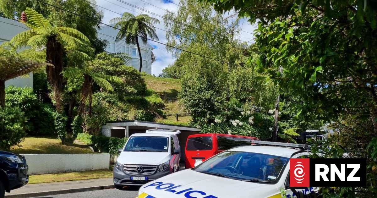 Police probe second unexplained death in Wellington within 24 hours | RNZ