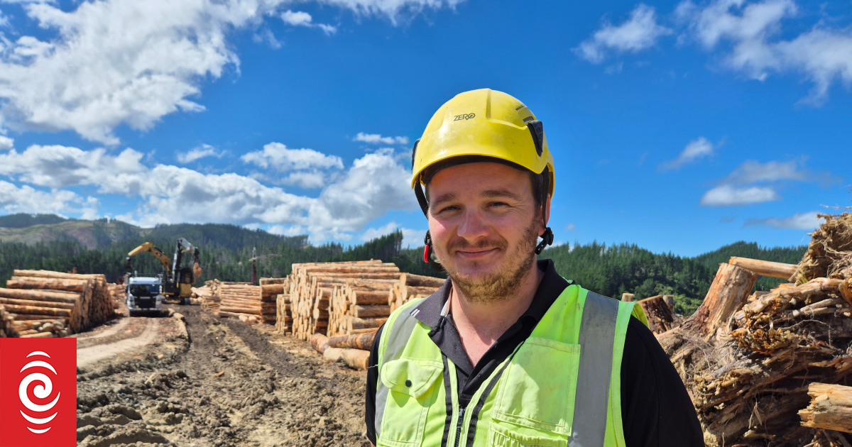Watch: Tai Rāwhiti to replant 100,000 hectares of forestry and pasture with bush, but at whose ...