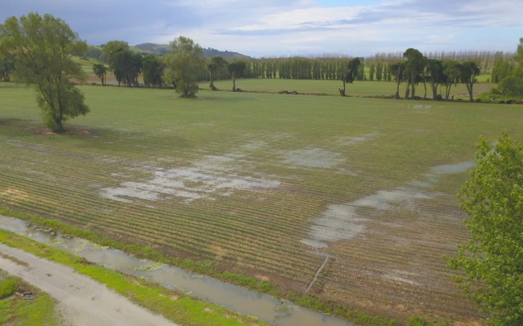 Plans for supplementary feed 'out the window' thanks to unseasonal ...