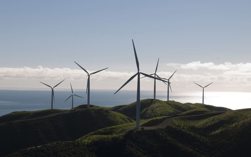 Consent for Southland Wind Farm declined due to potential impact on ...