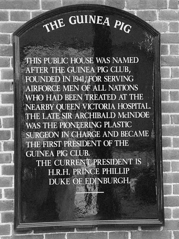 Emily Mayhew talks about Kiwi surgeon Sir Archibald McIndoe | RNZ