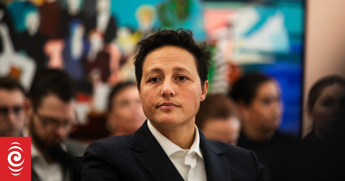 Watch: Select Committee hearings on Treaty Principles Bill resumes ...