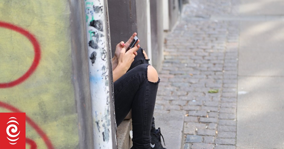 New remand homes planned for young offenders | RNZ News