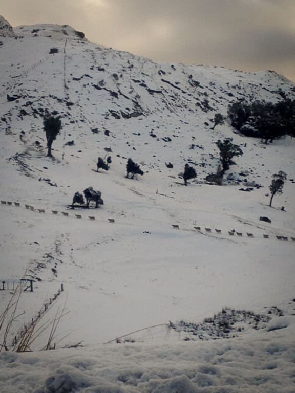 Snow across New Zealand | A Gallery from News | RNZ