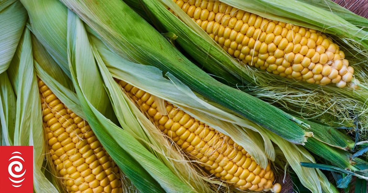 Fruit and Vege Report with Glenn Forsyth | RNZ