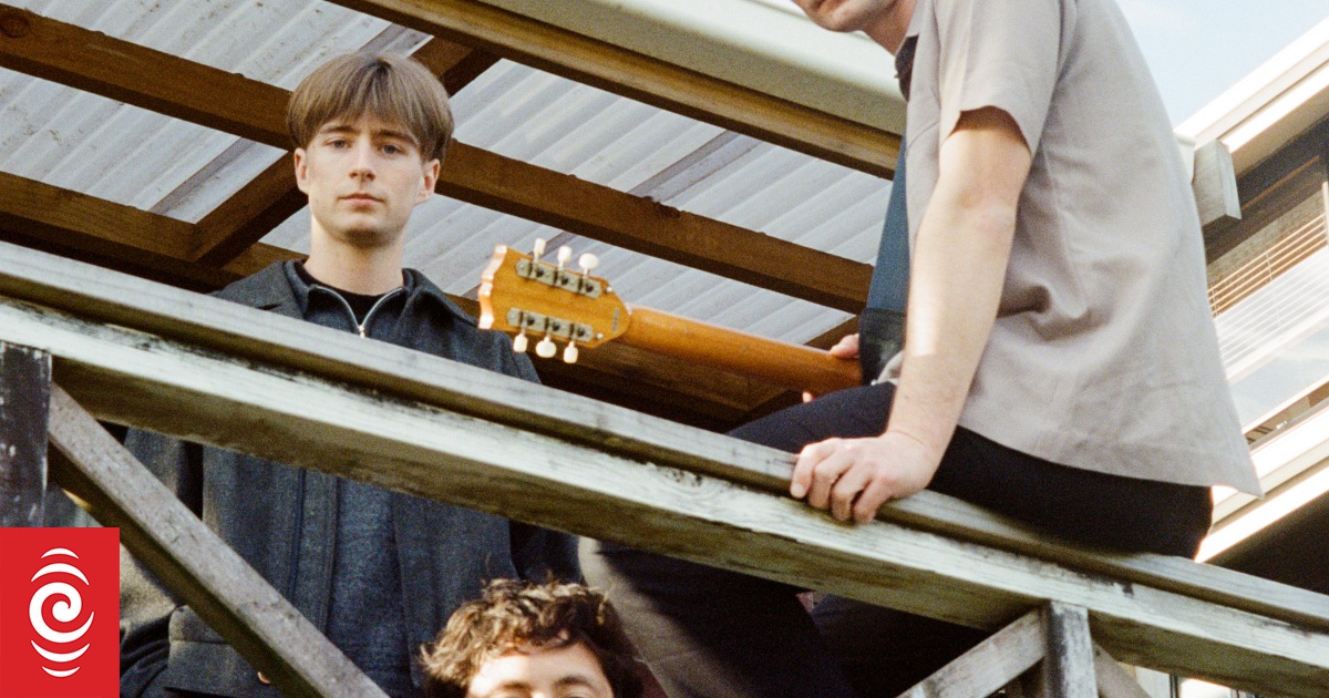 Introducing: Office Dog | RNZ