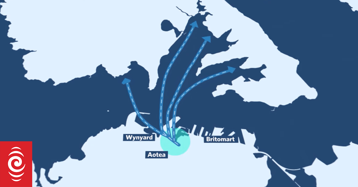 National's Nicola Willis on Labour's harbour crossing plan | RNZ