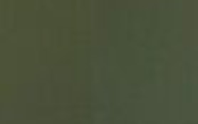 Russ Rymer: When a language goes silent | RNZ