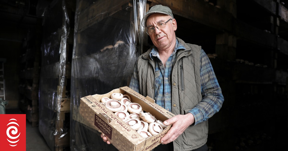 Fruit and Vege Report with Glenn Forsyth | RNZ