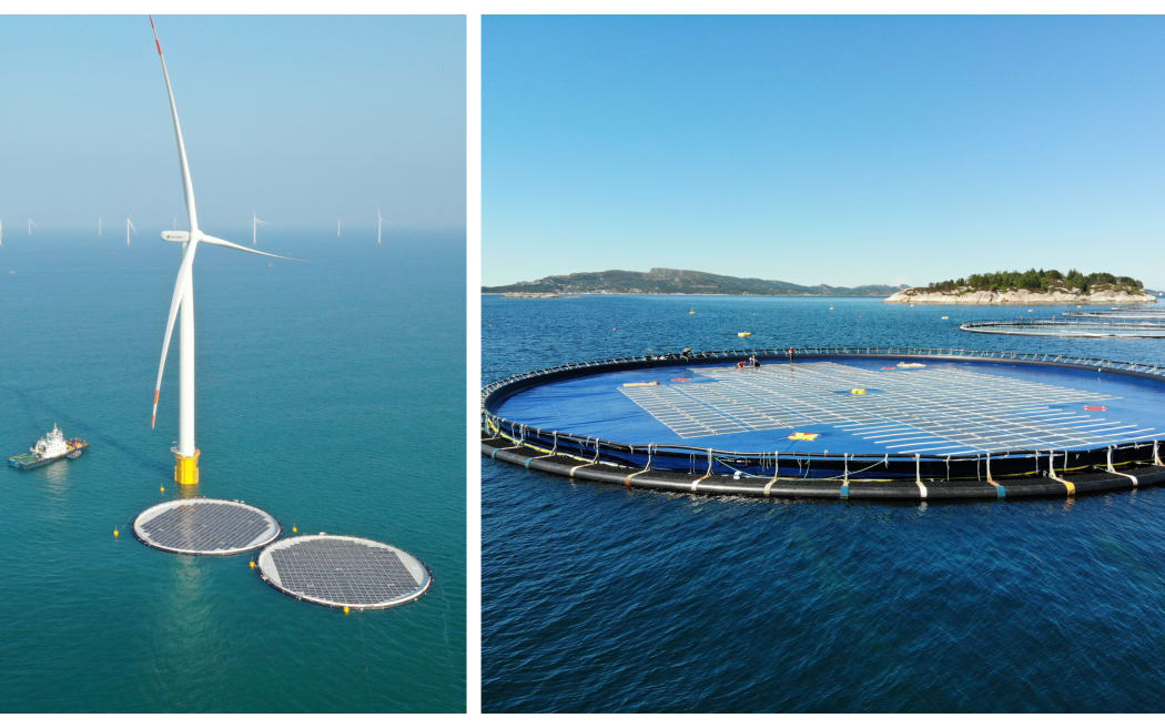 Floating solar farms at sea: NZ "ripe for them" | RNZ