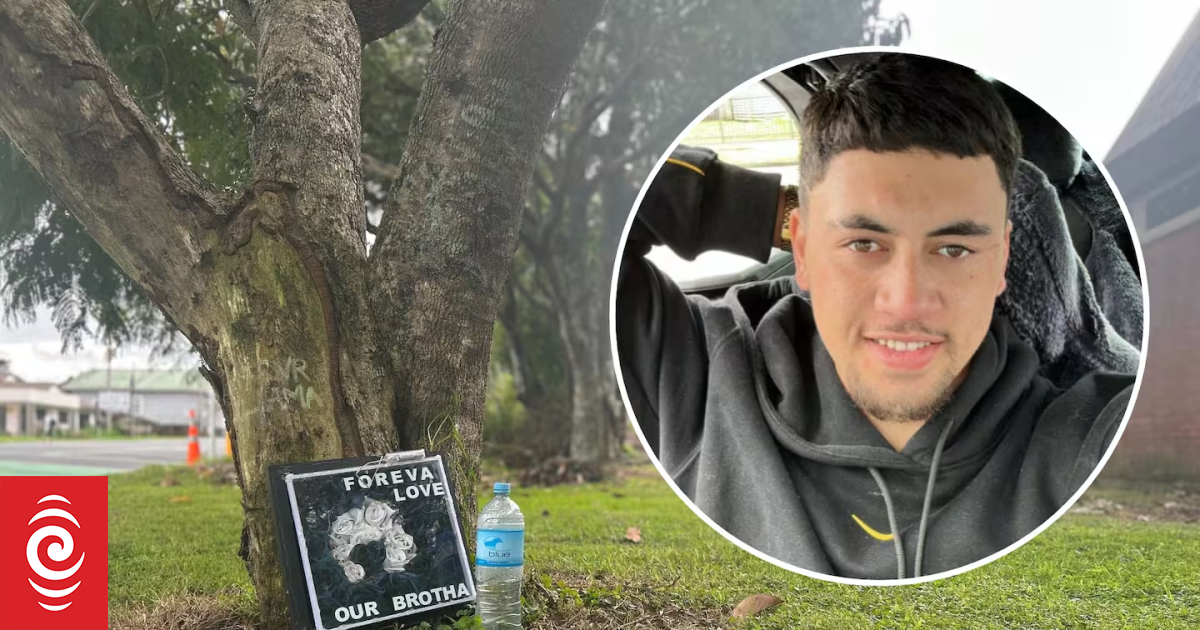 Rameka Rewiti sentenced to home detention for drunk crash that killed ...