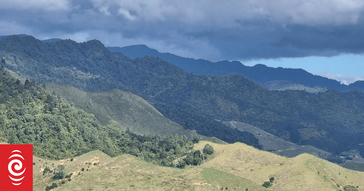 'That's him and his kids' - man searching for Tom Phillips certain he saw him three times | RNZ News