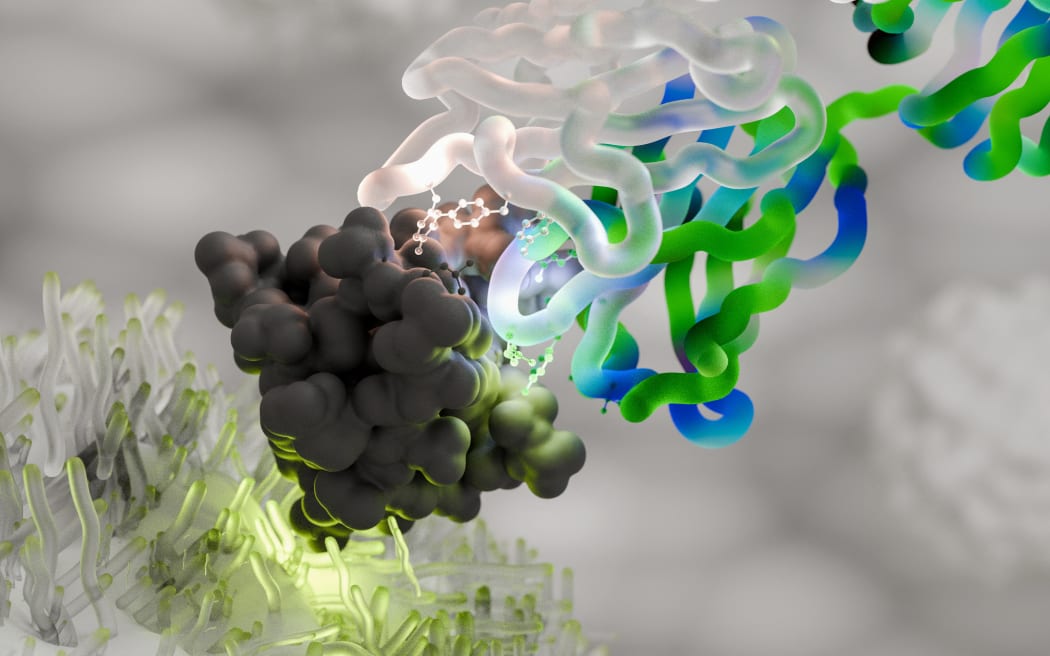 Keytruda, Opdivo to become available to patients with advanced cancer ...