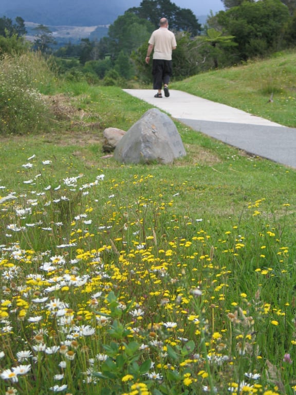 Haiku Pathways | A Gallery from Summer Times | RNZ National