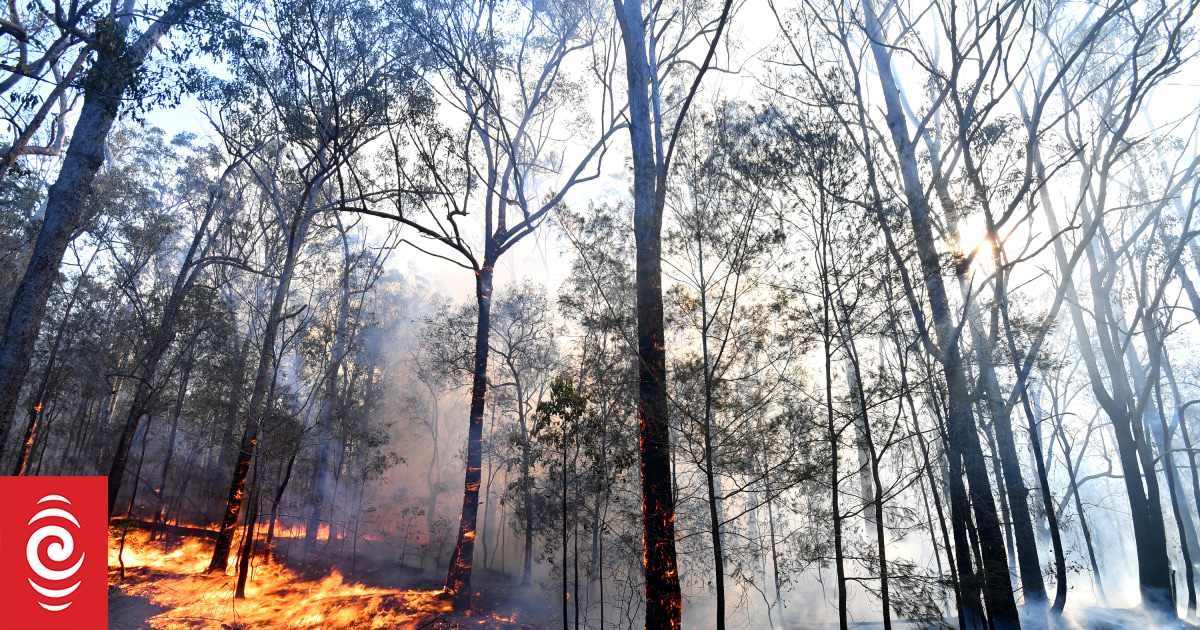 Out-of-control bushfire in Australia's Victoria will burn for days ...