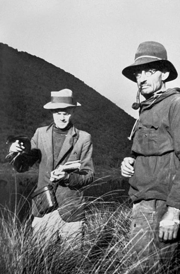 Takahē dreamers | RNZ