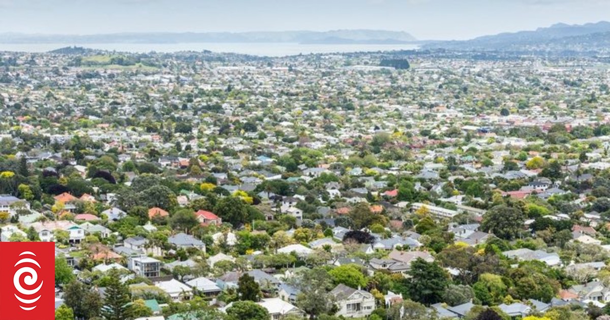 FOMO, messy markets, and the future | RNZ News