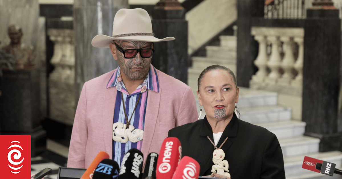 Te Pāti Māori MPs to be temporarily suspended from Parliament over haka ...