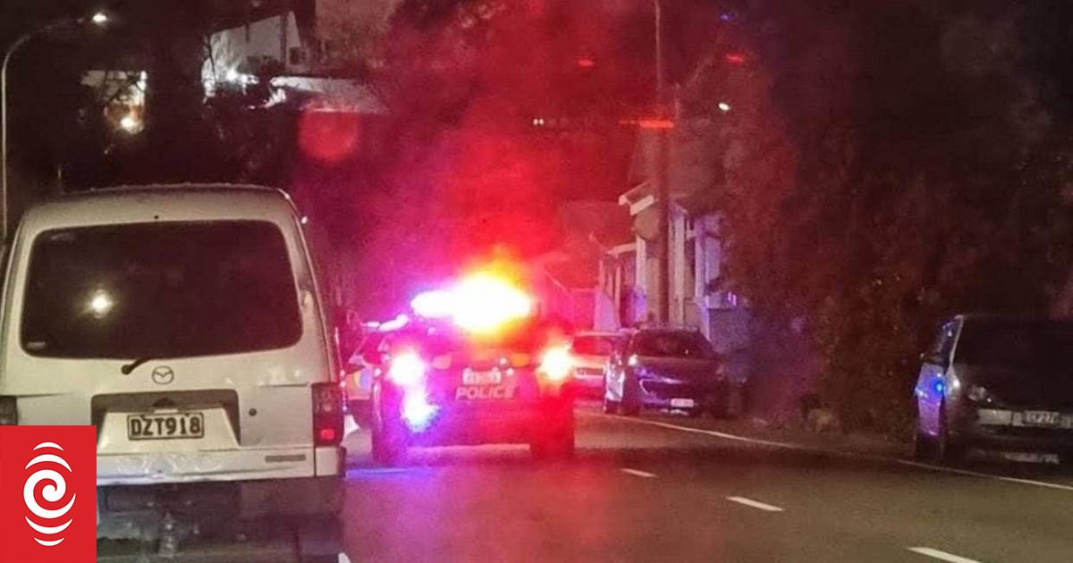 Napier fatality: Witness nearly struck by speeding car seconds before ...