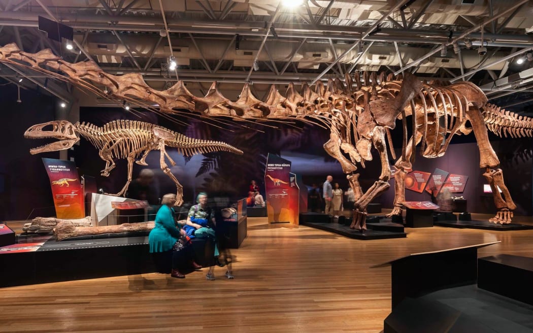 Enormous dinosaur goes on show at Te Papa | RNZ News