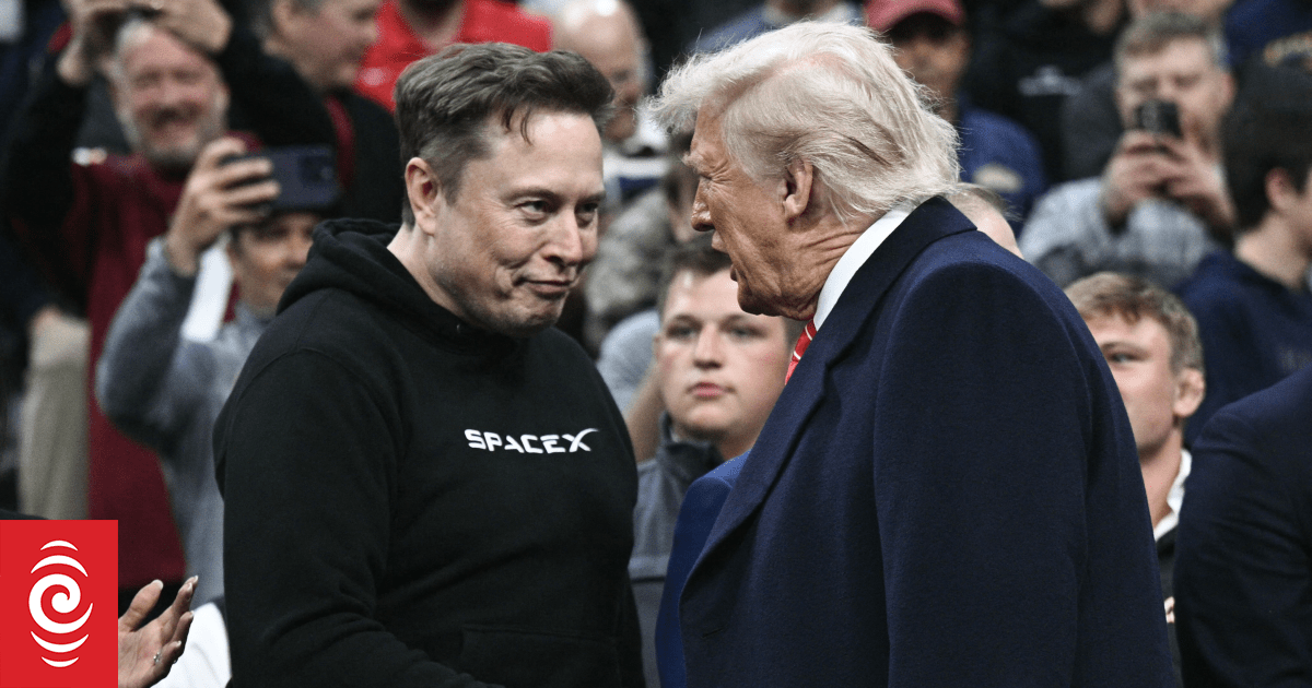 Elon Musk's DOGE prompts New York leaders to take aim at Tesla | RNZ News