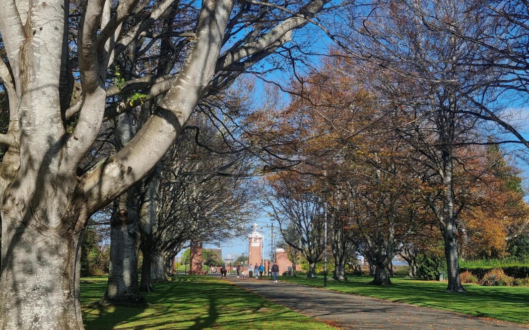 Dating app attacks: Four teens arrested in Invercargill | RNZ News