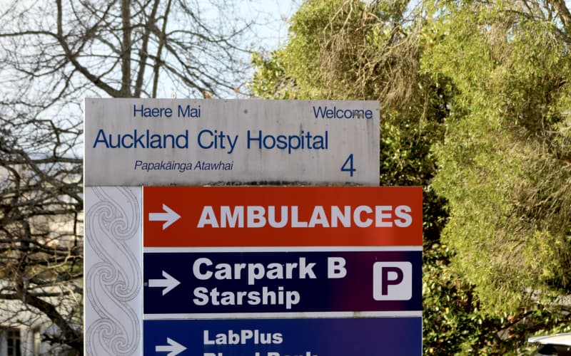 Public Service Association pushes for more staff to boost Auckland ...