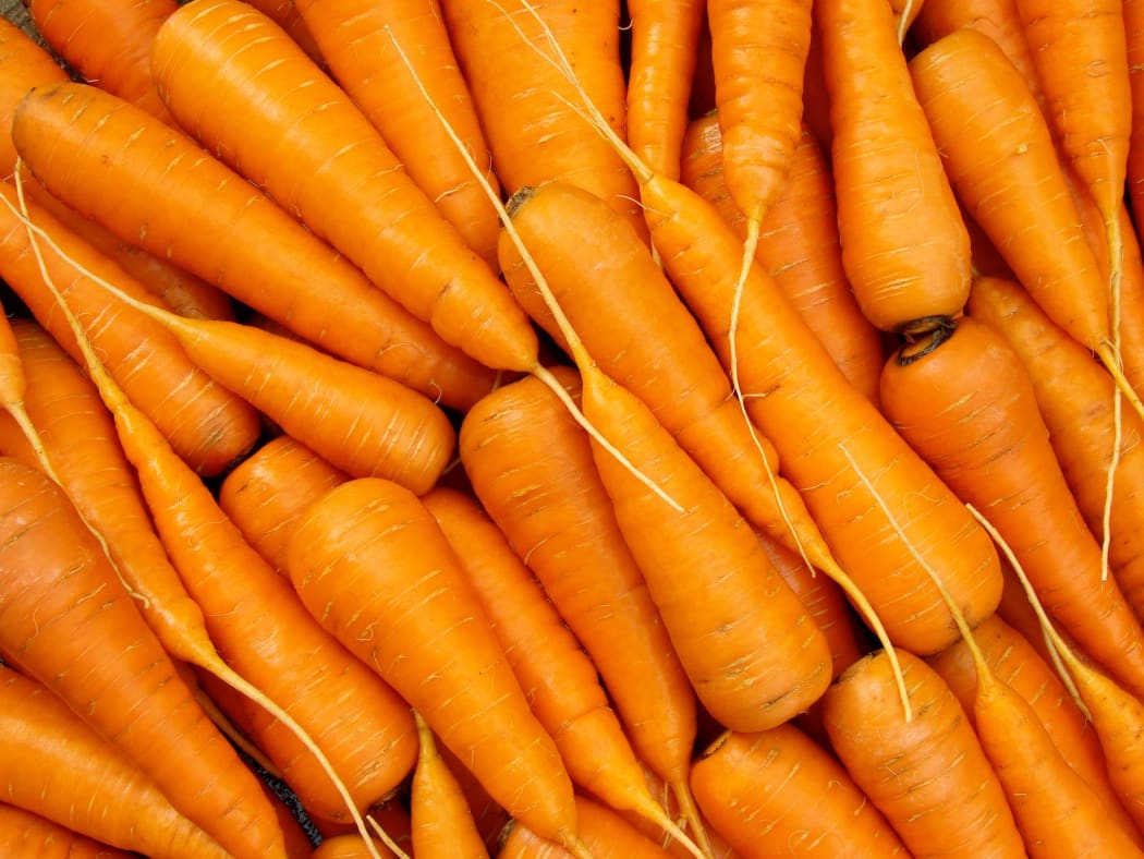 Could carrots be the secret ingredient to strengthen concrete? | RNZ News