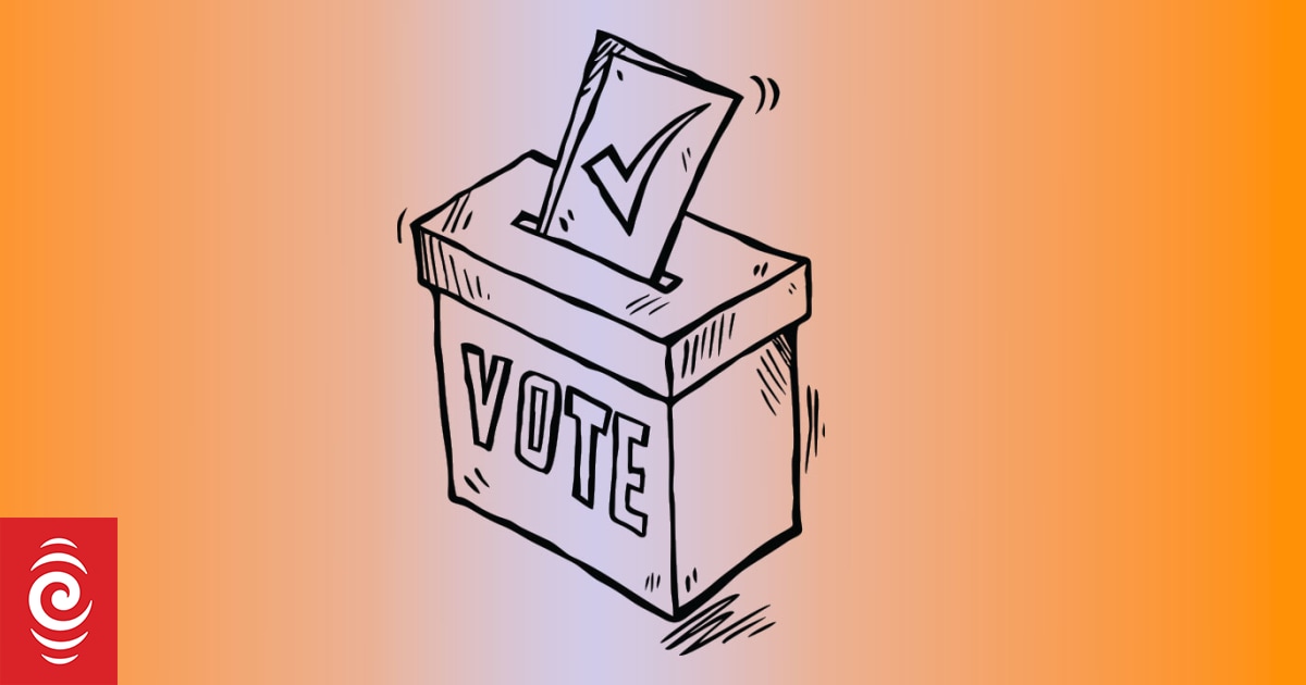 Why some Aucklanders get extra votes in local election | RNZ News