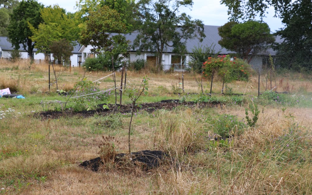 Green learning hub grows on red zone land | RNZ
