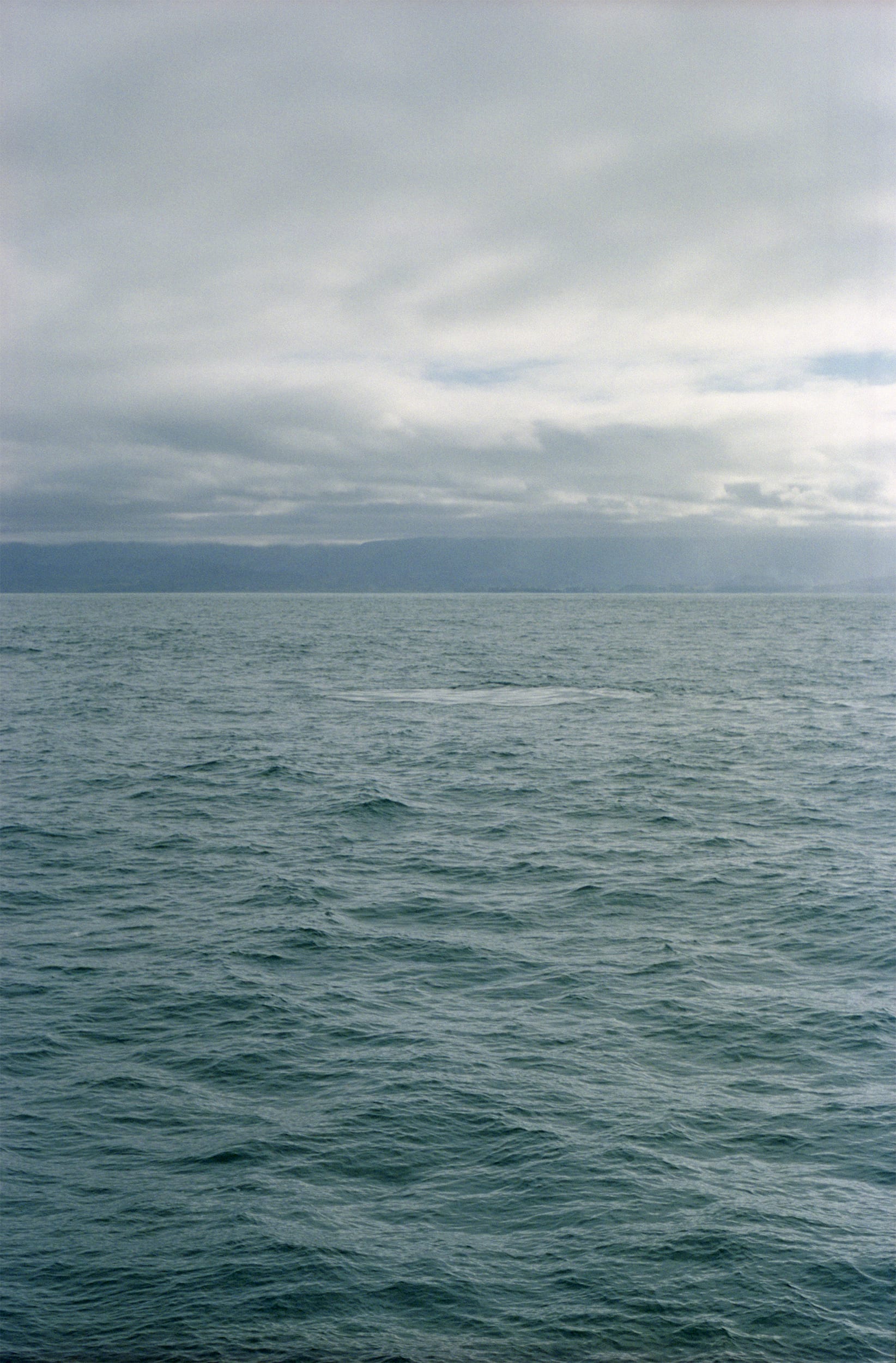 How do we coexist with non-human species? | RNZ