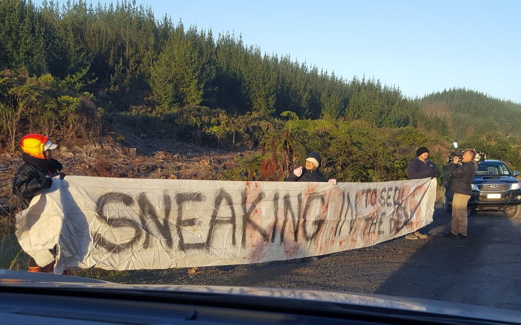 Protest over forestry 'mess' in Northland | RNZ News