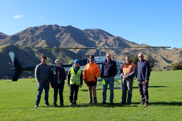 Wilding pines battle ramps up in Marlborough | RNZ