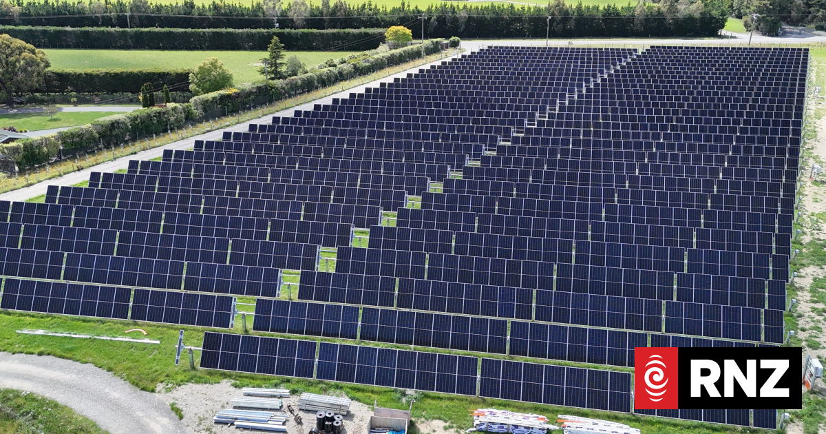 Paddocks to power: The rise of small-scale solar farms | RNZ News