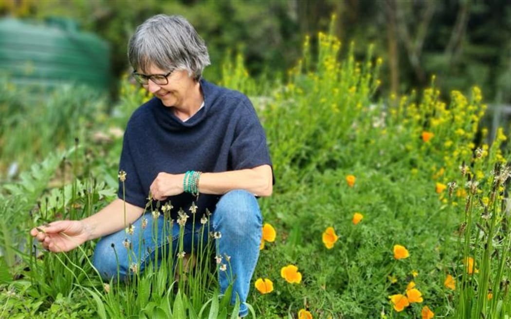 Meal worm larvae on the menu at Sustainable Backyard Trail | RNZ News