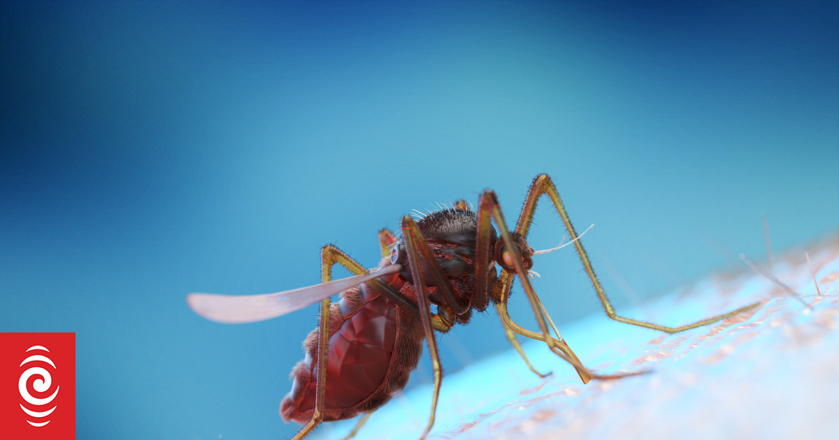 Dengue fever outbreak to be declared in Samoa | RNZ News