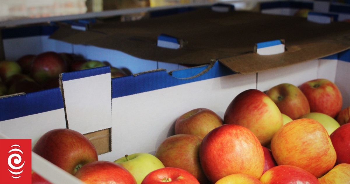 Fruit and Vege Report with Glenn Forsyth | RNZ