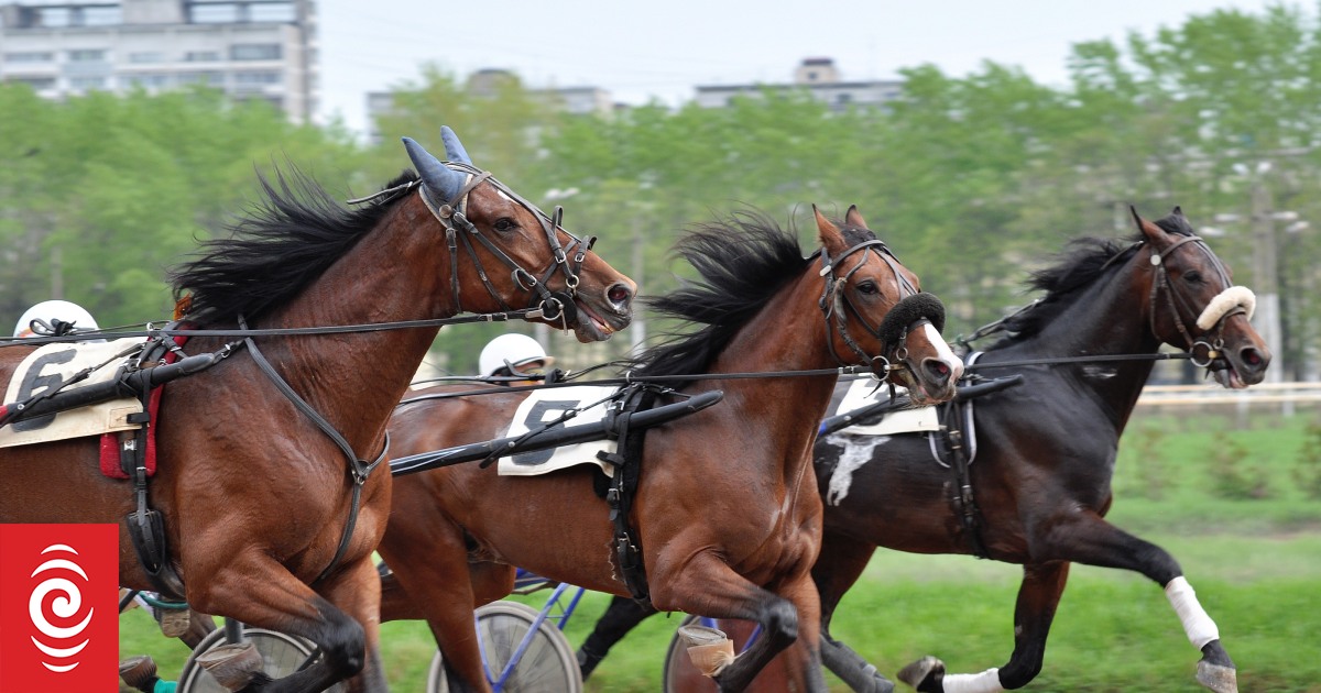 Trotted out, horse racing scandal | RNZ