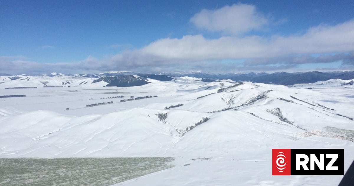 Big freeze lingers, snow leaves power poles 'broken like twigs' | RNZ