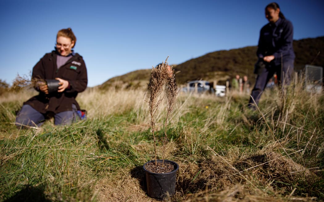 Jobs for Nature workers hope programme will carry on despite funding ...