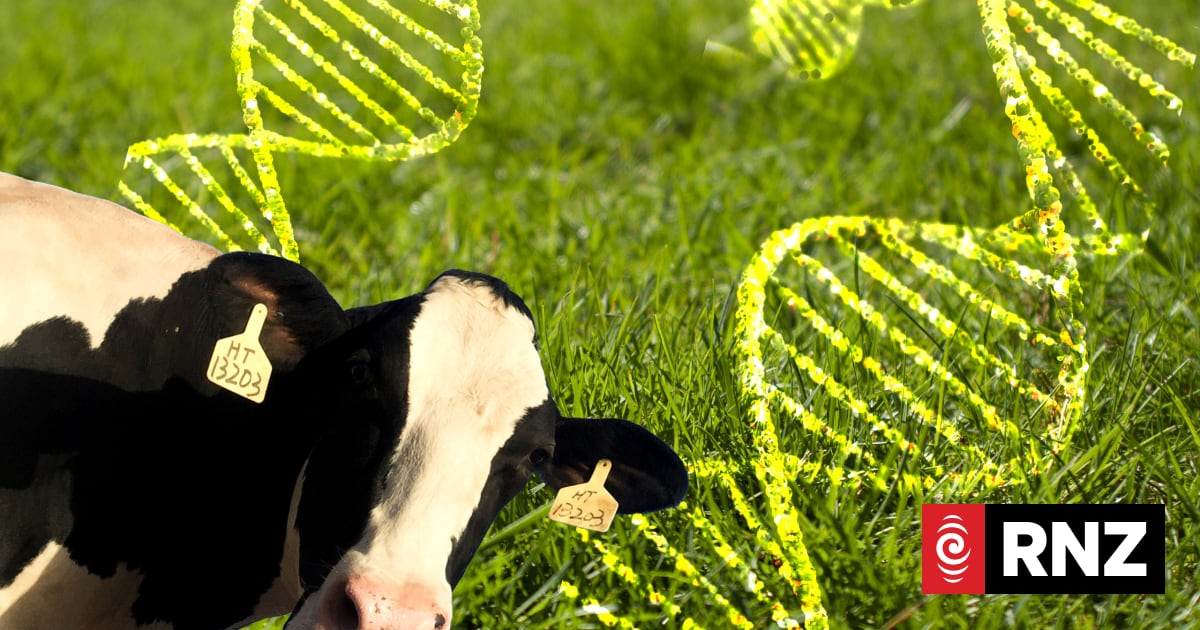 Gene technology bill delayed again; PM says 'it's complicated' | RNZ